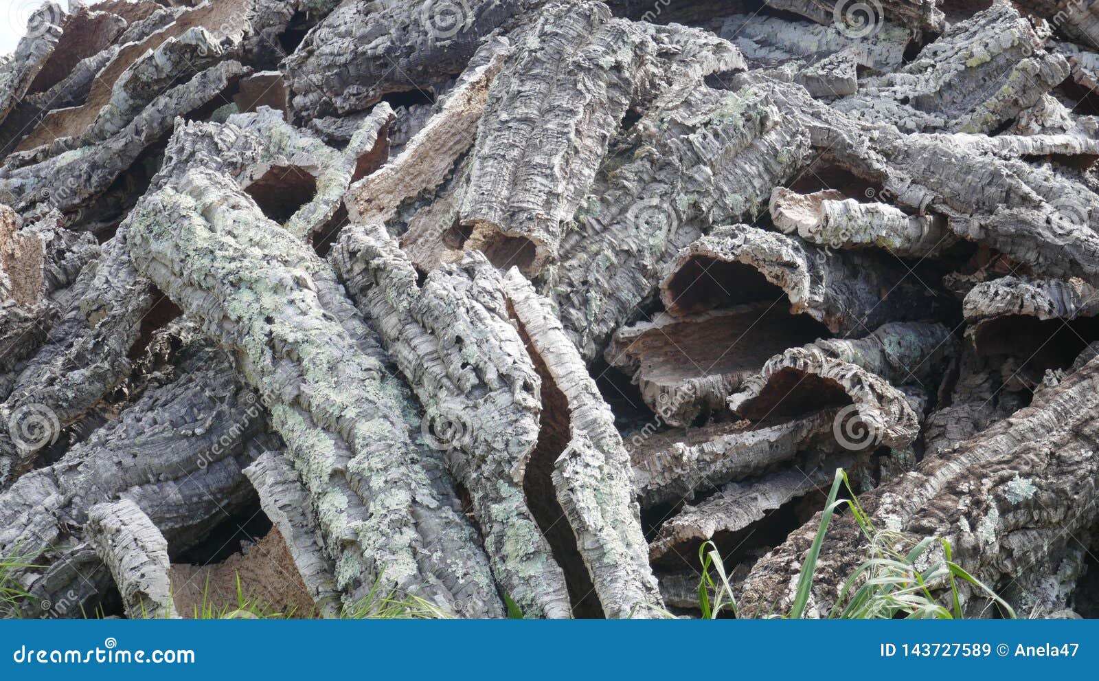 Cork, Cork Pieces, Cork Oak Bark. Stock Image - Image of industry ...