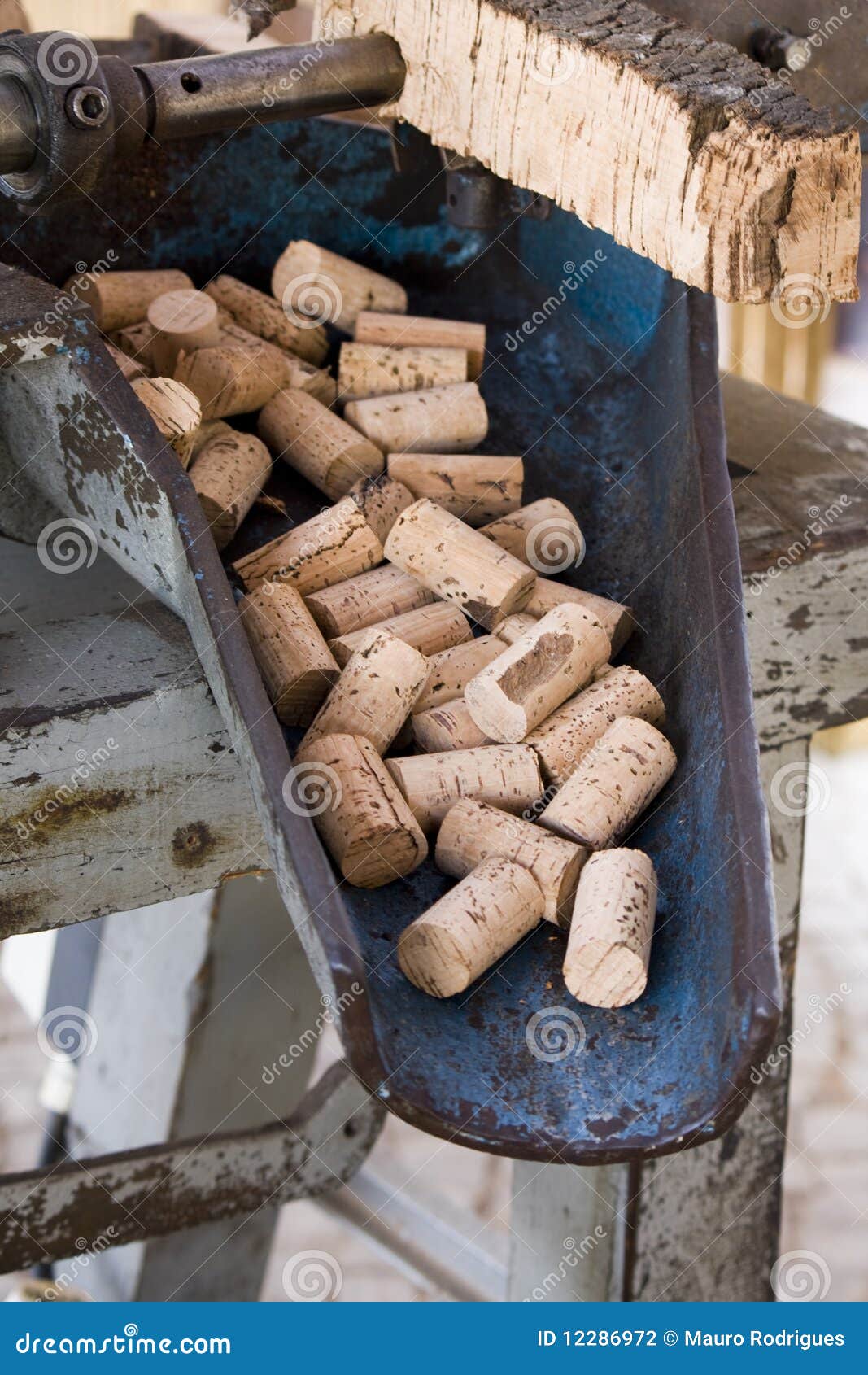 Cork production stock photo. Image of extraction, machine - 12286972