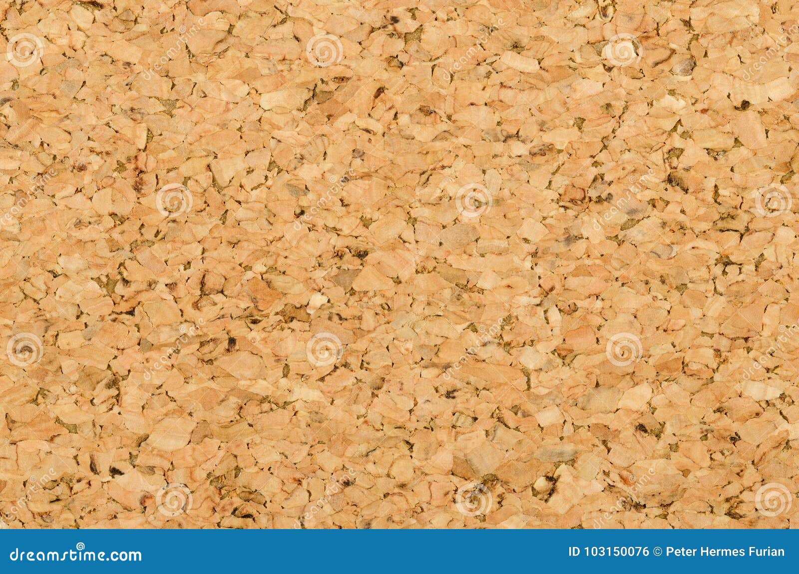 Cork Sheet Surface with Fine Texture, Macro Photo Stock Photo - Image ...
