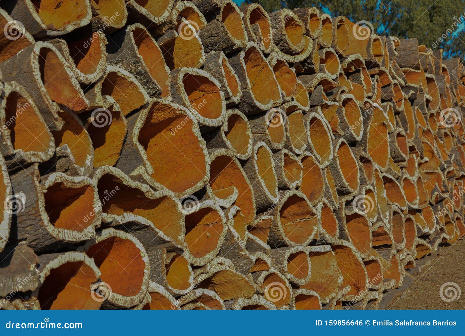 Cork, Stacked Cork Tree Bark Stock Photo - Image of stain, cork: 159856646