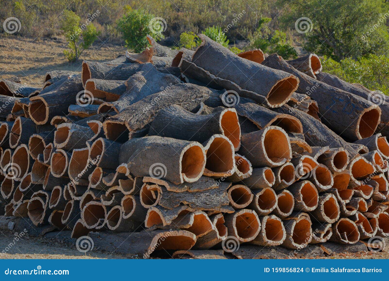 Cork, Stacked Cork Tree Bark Stock Photo - Image of bark, book: 159856824