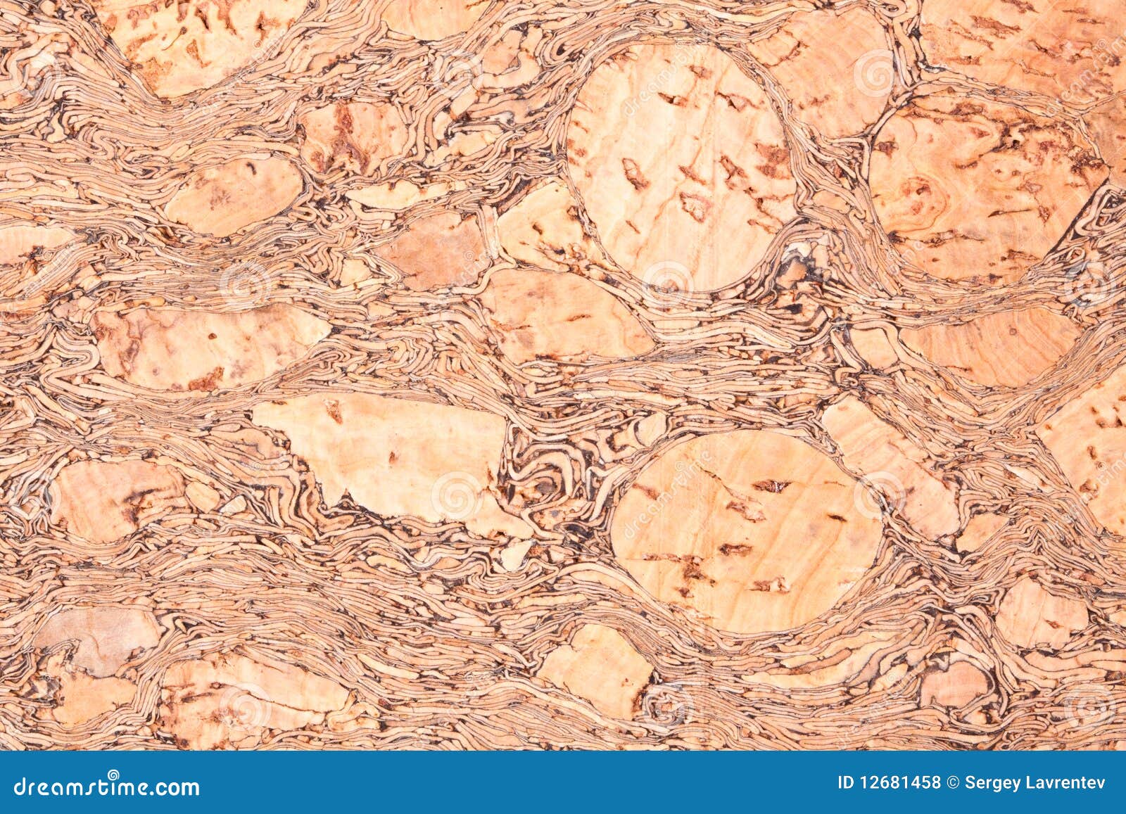 Cork Texture stock photo. Image of cork, textured, woods - 12681458