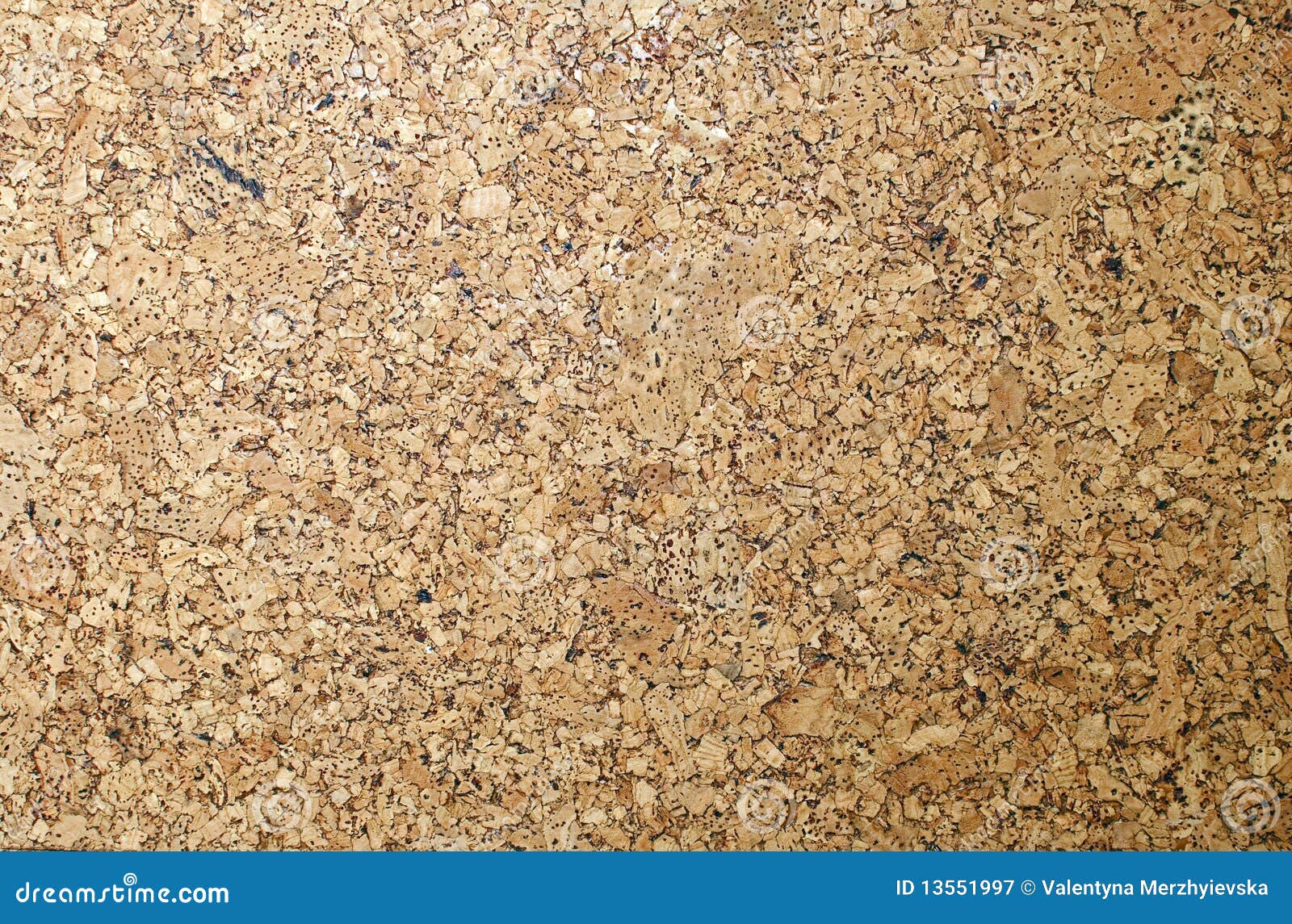 Cork Texture Stock Photography | CartoonDealer.com #19929164