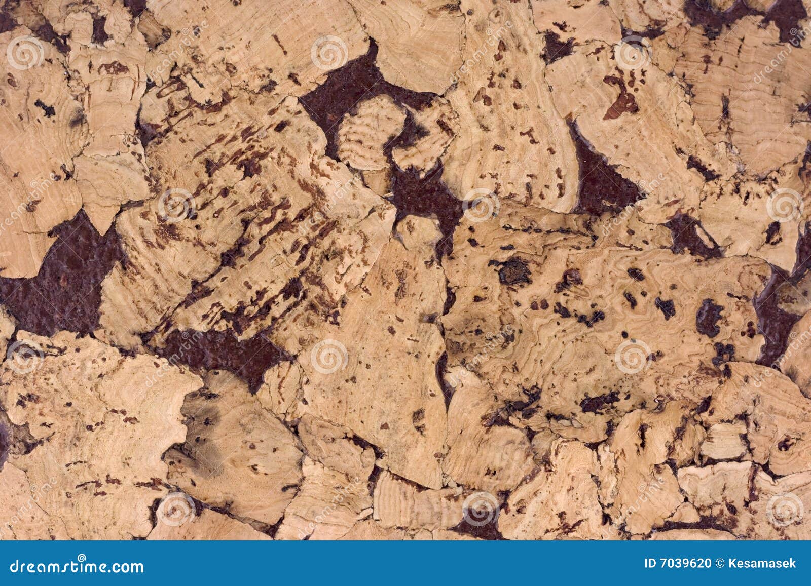 Cork Texture Picture. Image: 7039620