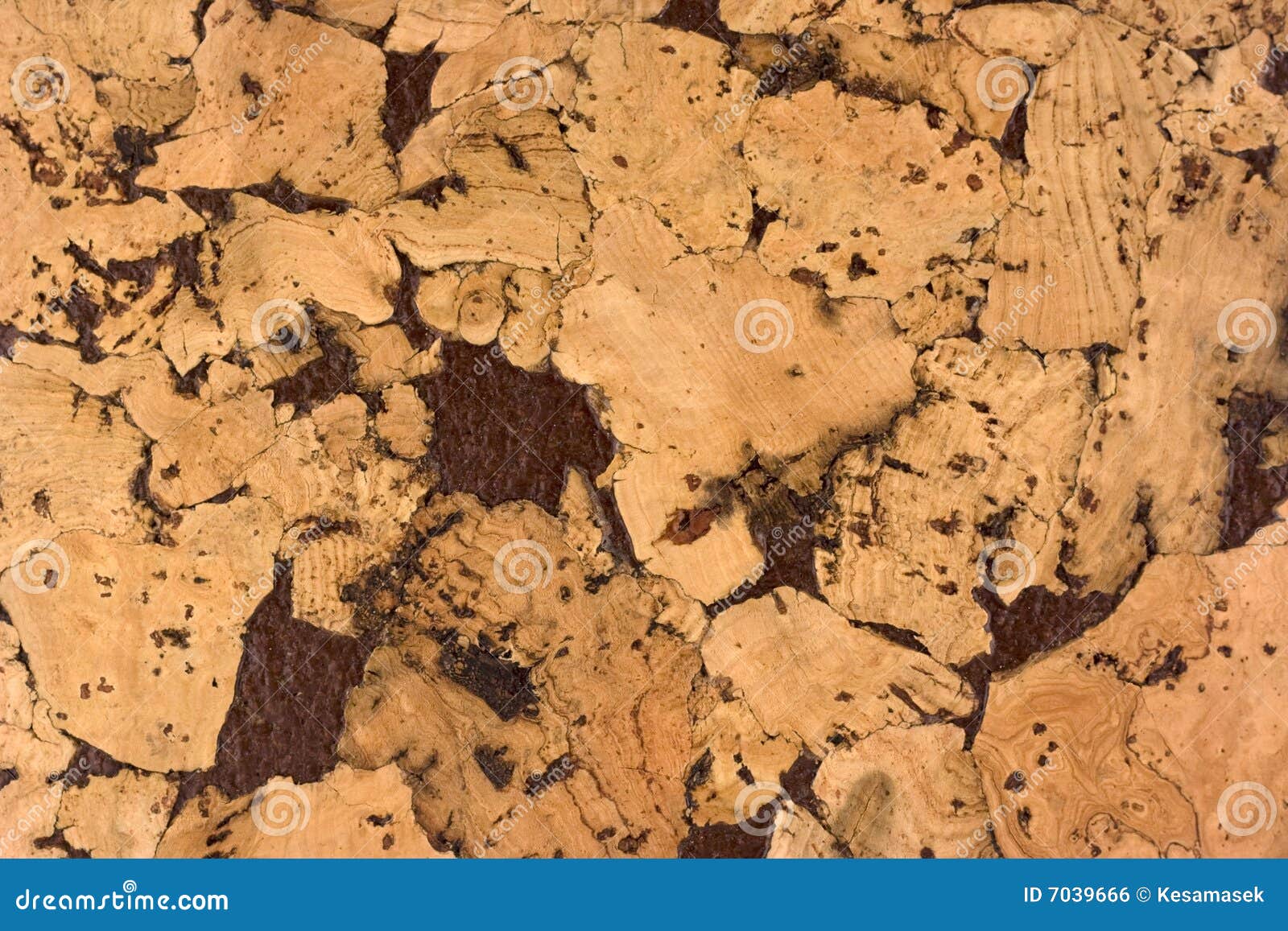 Cork texture stock photo. Image of wood, timber, flat - 7039666