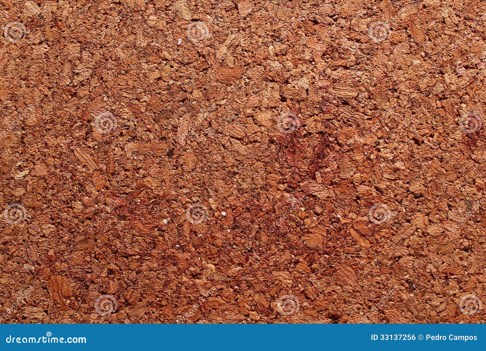 Cork texture stock photo. Image of natural, backgrounds - 33137256