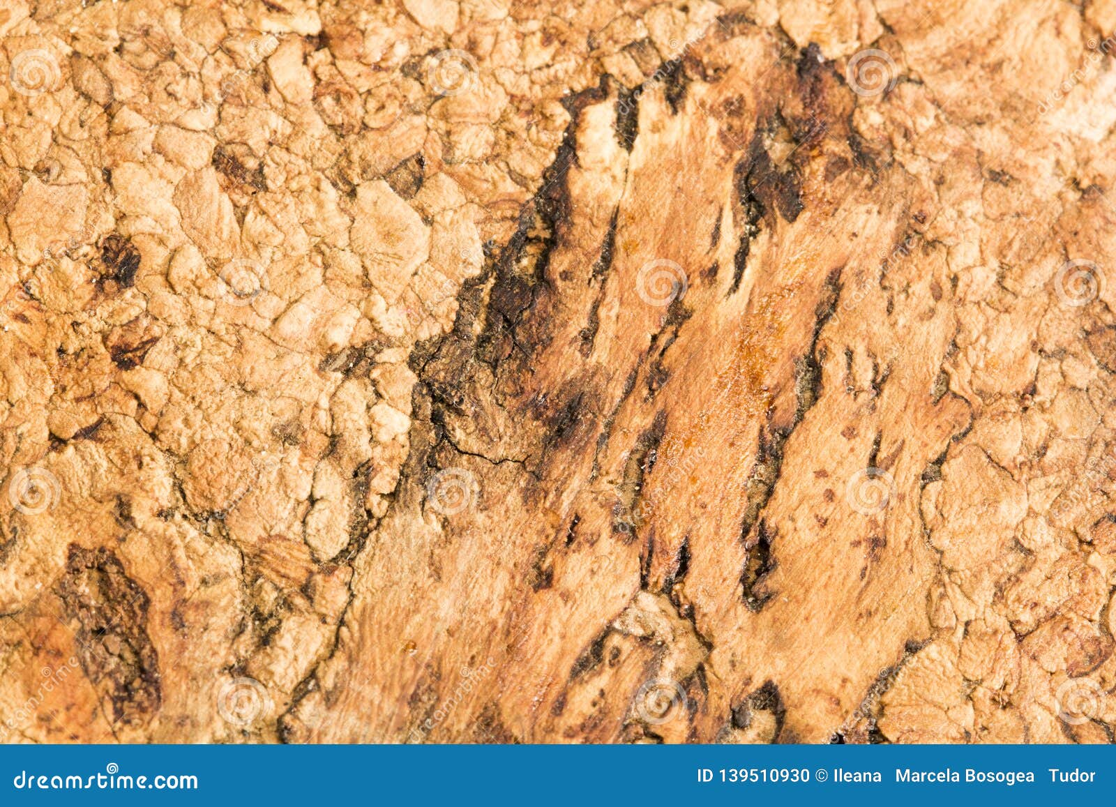 Cork texture stock photo. Image of grunge, abstract - 139510930