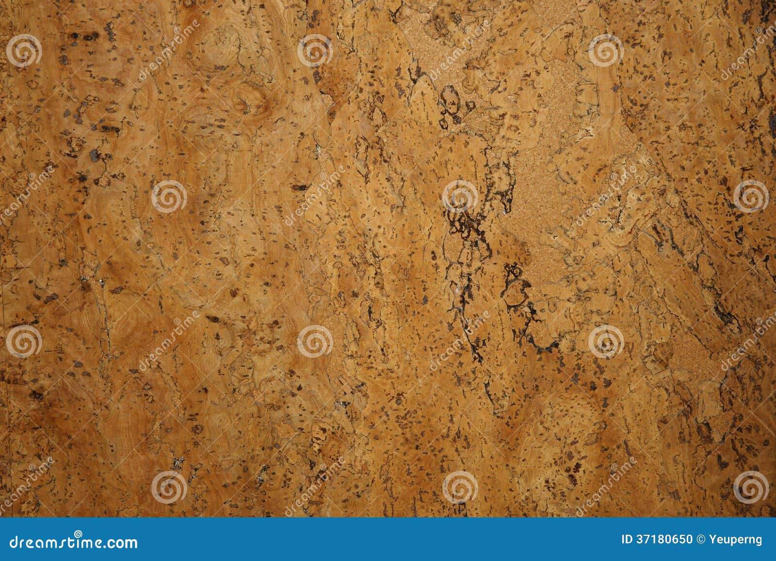 Cork texture. stock photo. Image of rough, detail, soundproofing - 37180650