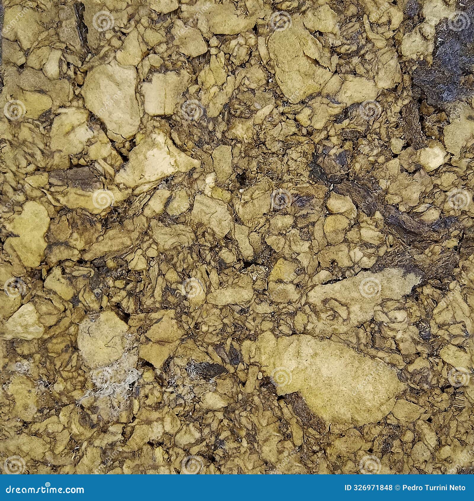 Cork Tileable in Close-up. Seamless Cork Texture Stock Photo - Image of ...