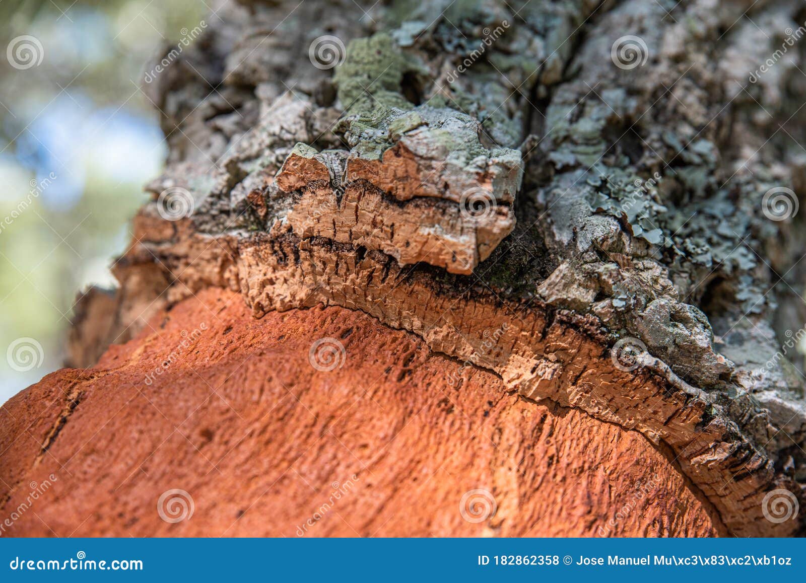 Contrast Texture In Elegant Colour For Your Personal Design. Royalty ...