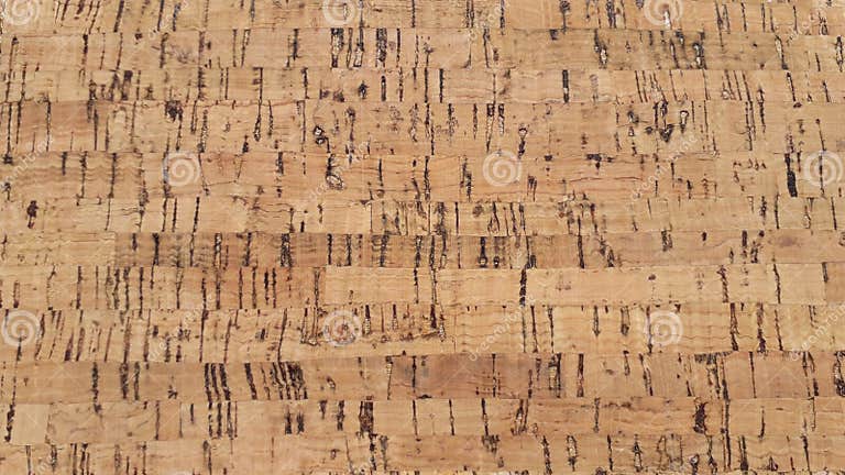 Cork Tree, Cork Cloth, Cork Texture. Cork Background Stock Photo ...