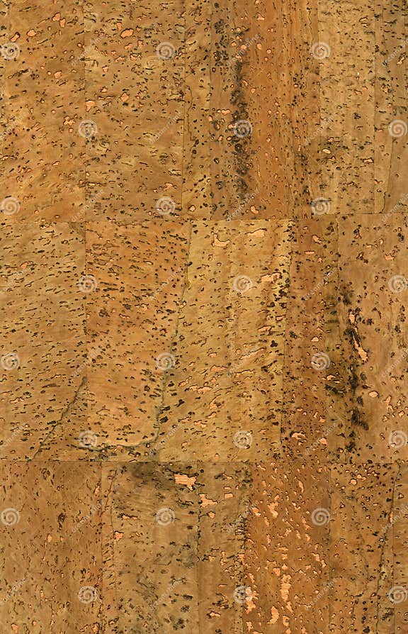 Cork wallpaper texture stock image. Image of nature, texture - 3139831