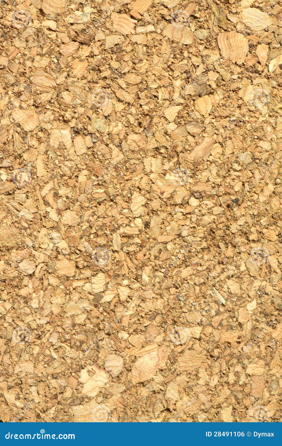 Cork wood texture stock photo. Image of pattern, finish - 28491106