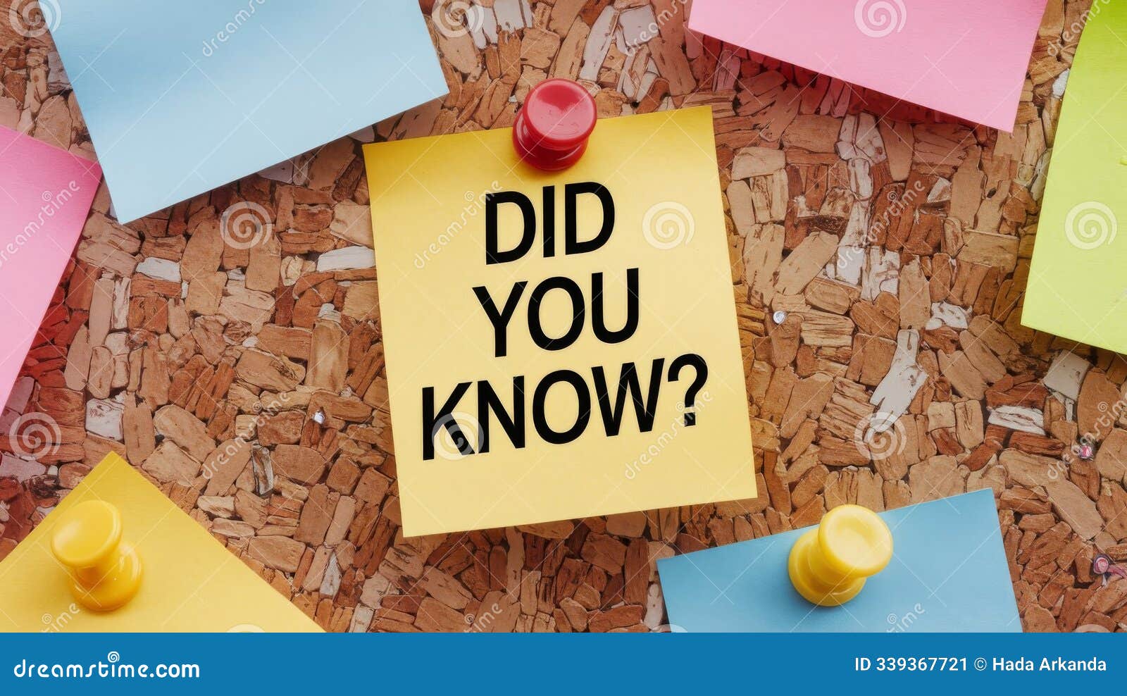 Corkboard Display Featuring Sticky Note, Highlighting the Phrase Did ...