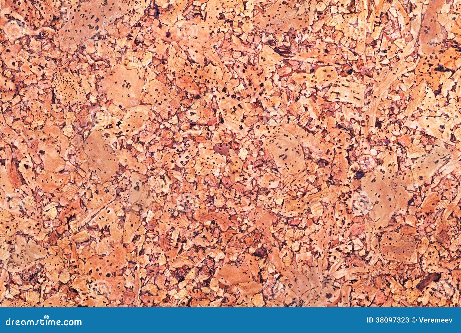 Corkwood immagine stock. Immagine di ecologico, luce - 38097323