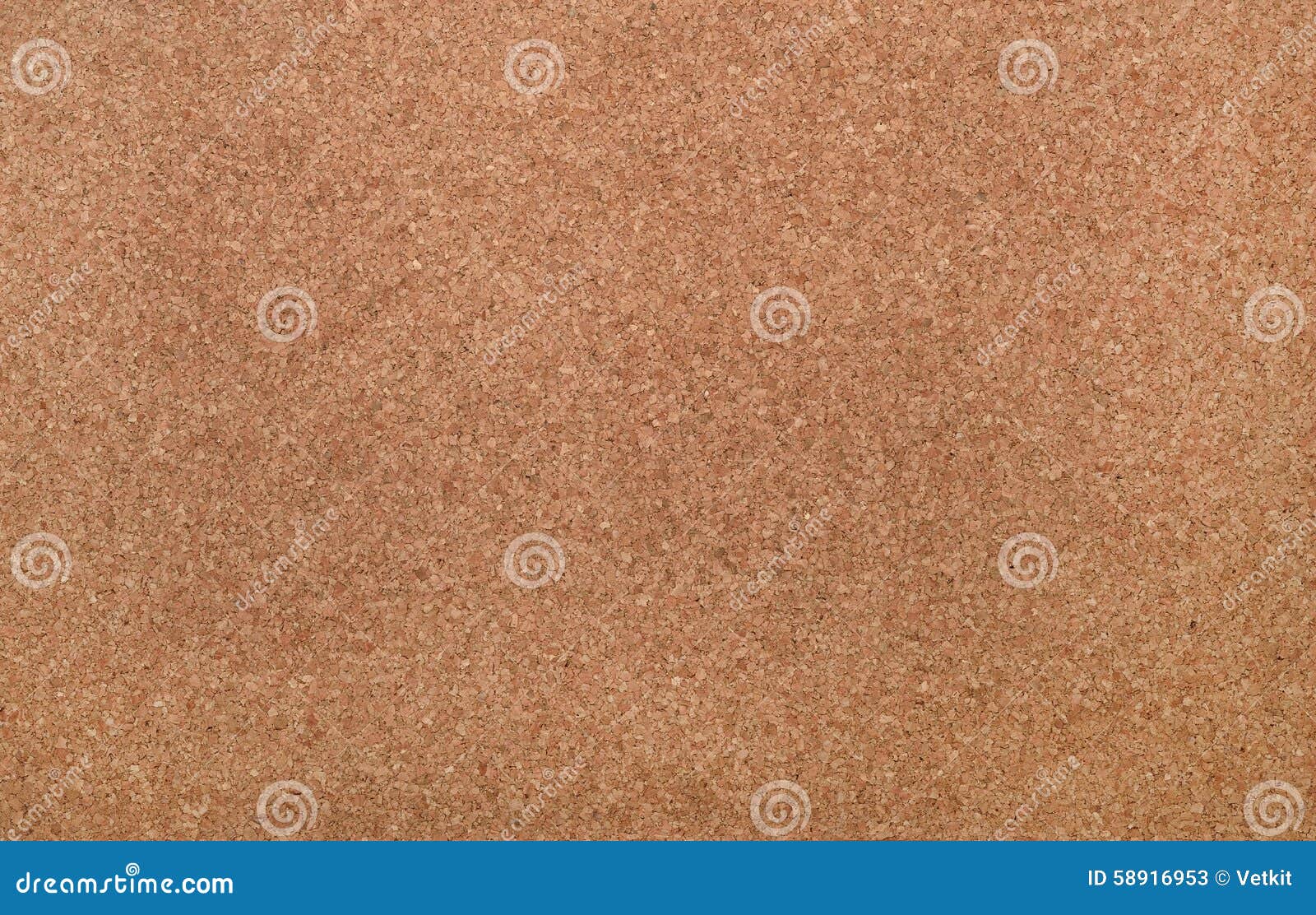 Corkwood texture stock image. Image of macro, wooden - 58916953
