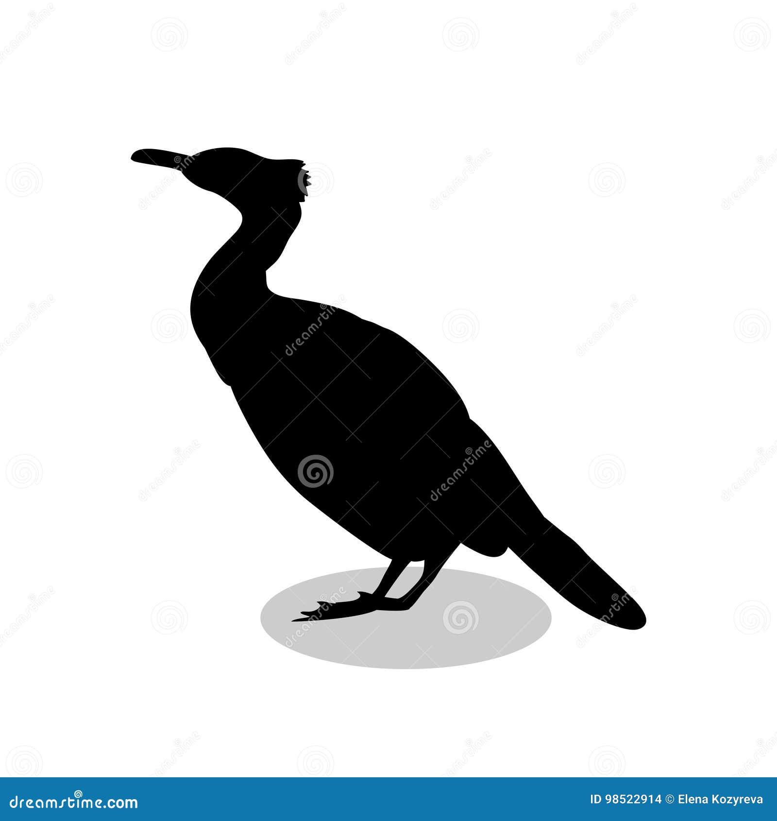 Cormorant Bird Coloring. Vector Outline Image Royalty-Free Cartoon ...