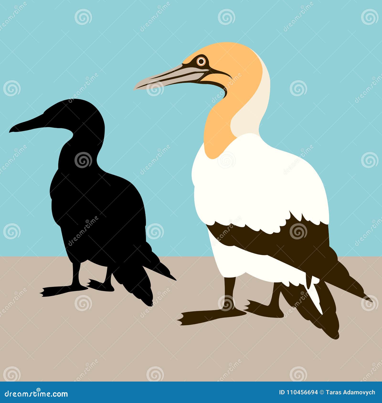 Cormorant White Vector Illustration Flat Style Profile Stock Vector ...