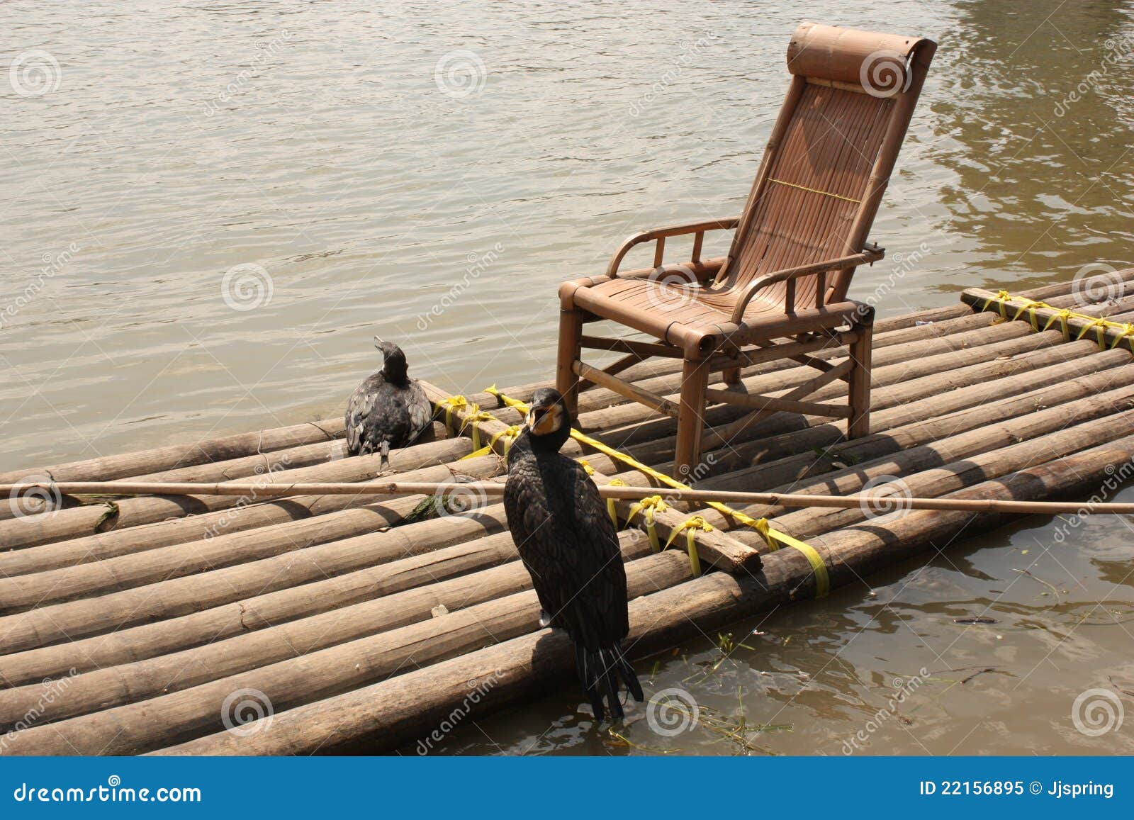 Cormorants Fishing on Bamboo Raft Stock Image - Image of diving, asia ...