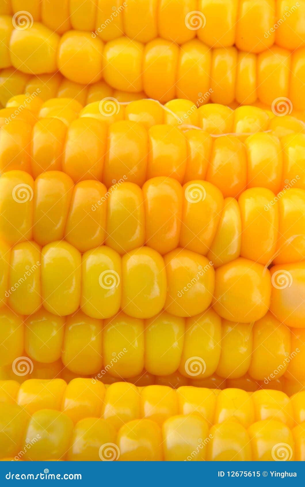Corn stock image. Image of colorful, lifestyle, healthy - 12675615