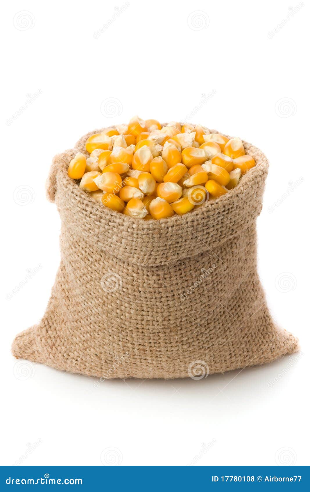 Corn stock photo. Image of kernels, crop, macro, detail - 17780108