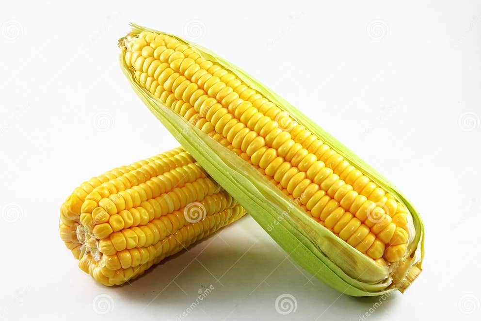 Corn stock photo. Image of macro, yellow, coked, vegetable - 18307310