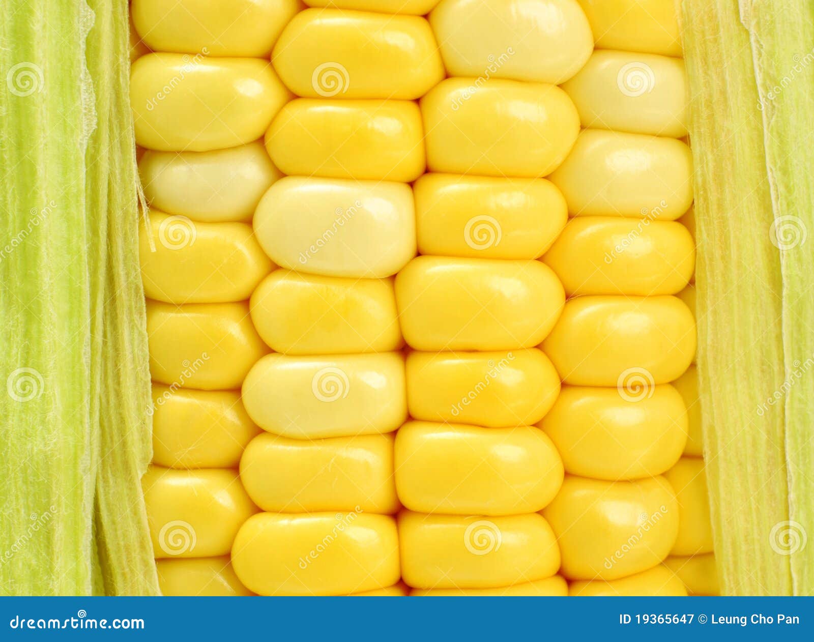 Corn stock image. Image of diet, grain, closeup, golden - 19365647