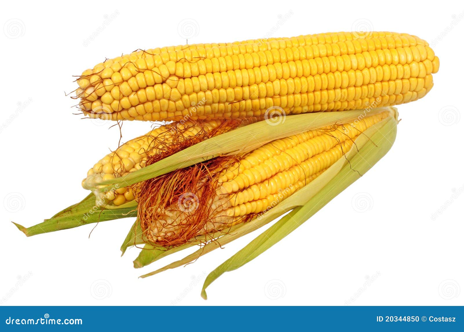 Corn stock photo. Image of corn, staple, grain, food - 20344850