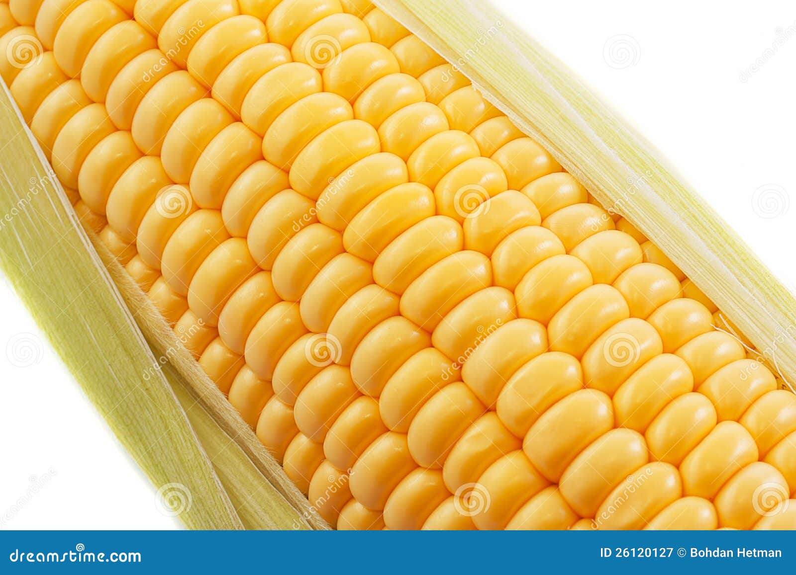 The corn stock image. Image of macro, culture, food, green - 26120127