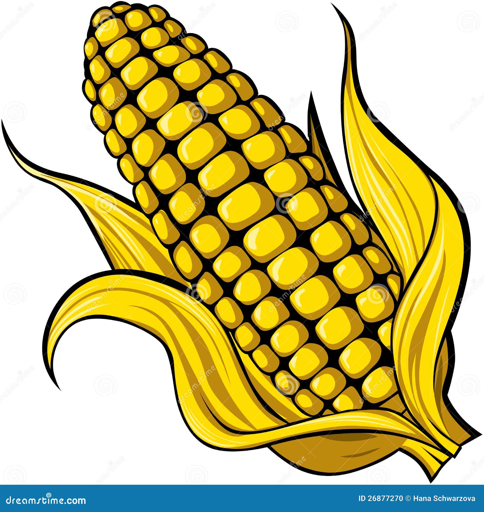 Corn stock vector. Illustration of outline, healthy, eatable - 26877270