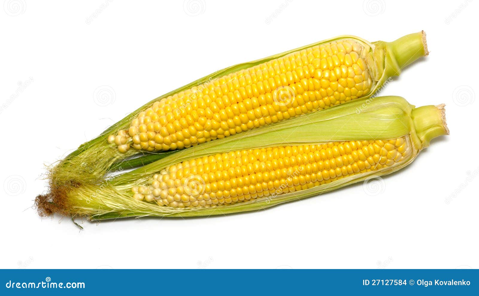 Corn stock photo. Image of macro, grain, niblet, nature - 27127584