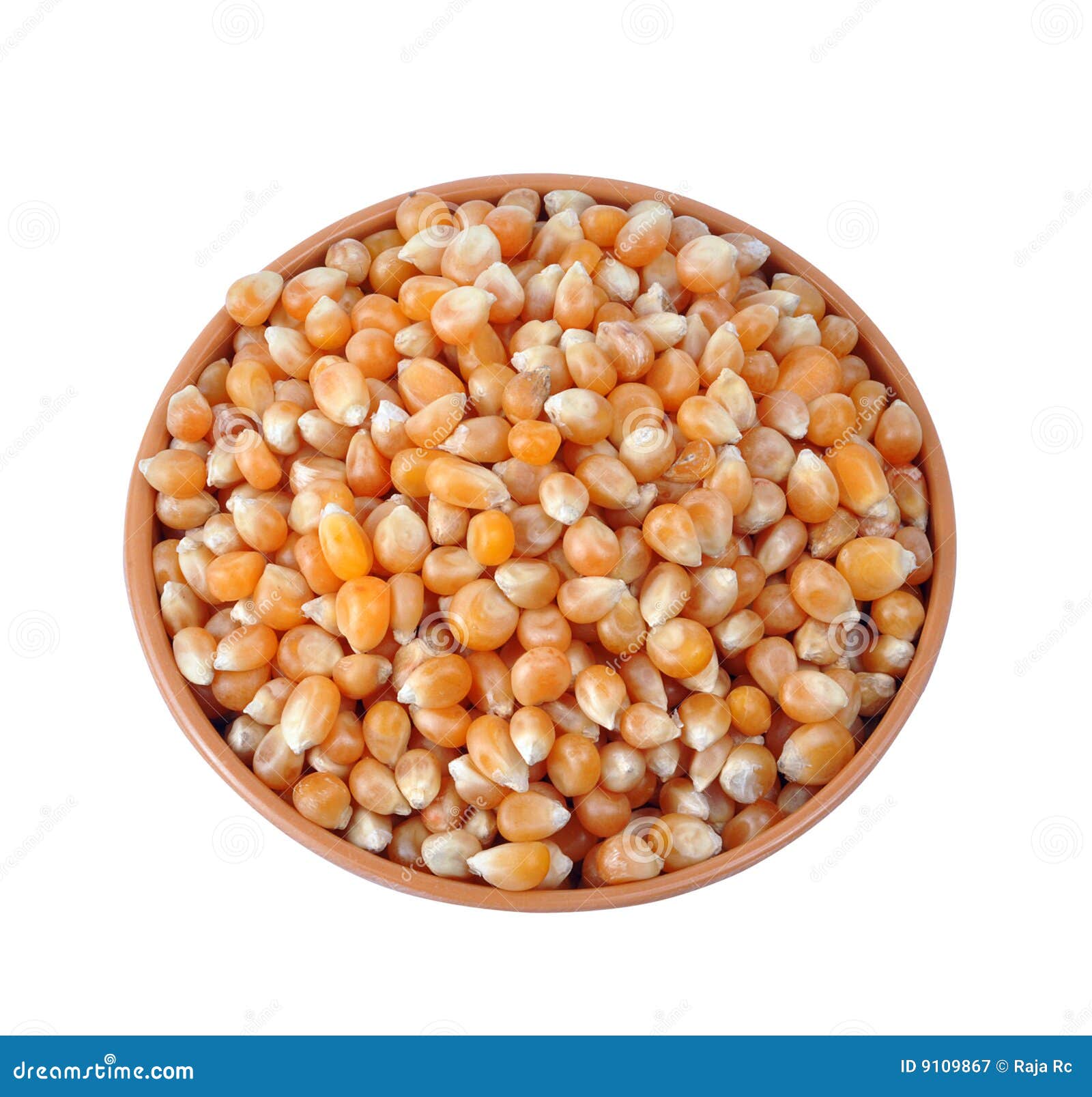 Corn stock image. Image of texture, staples, organic, india - 9109867