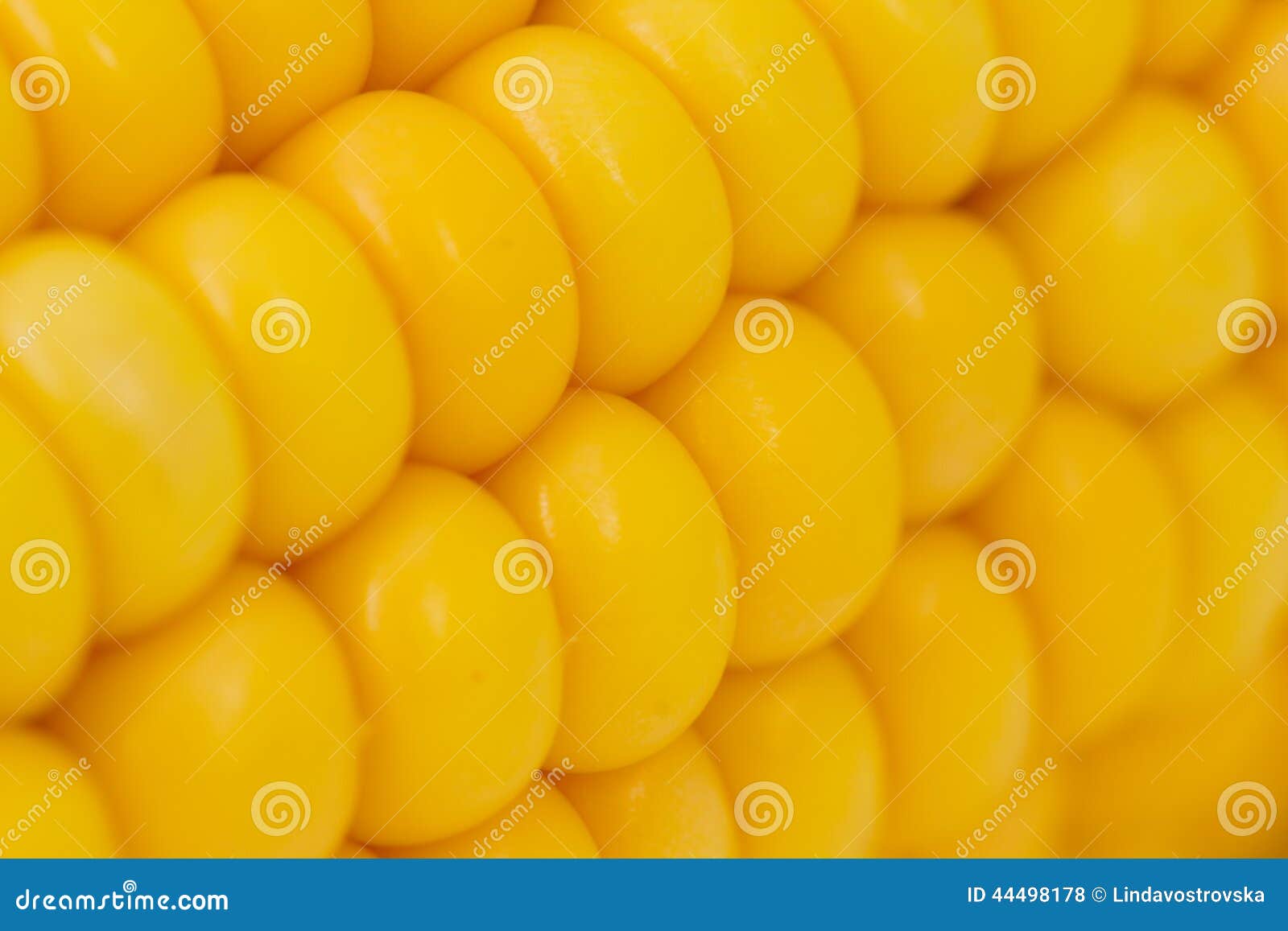 Corn abstract stock photo. Image of fresh, healthy, peeled - 44498178