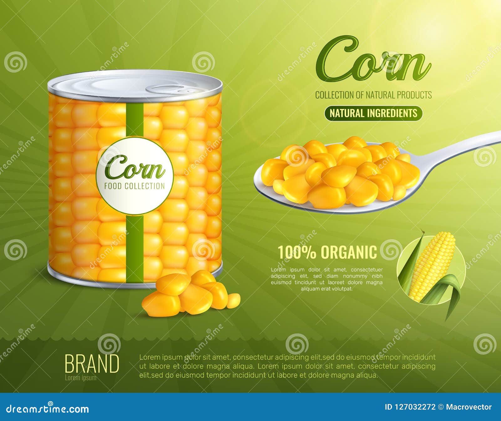 Corn Advertising Composition Stock Vector - Illustration of natural ...