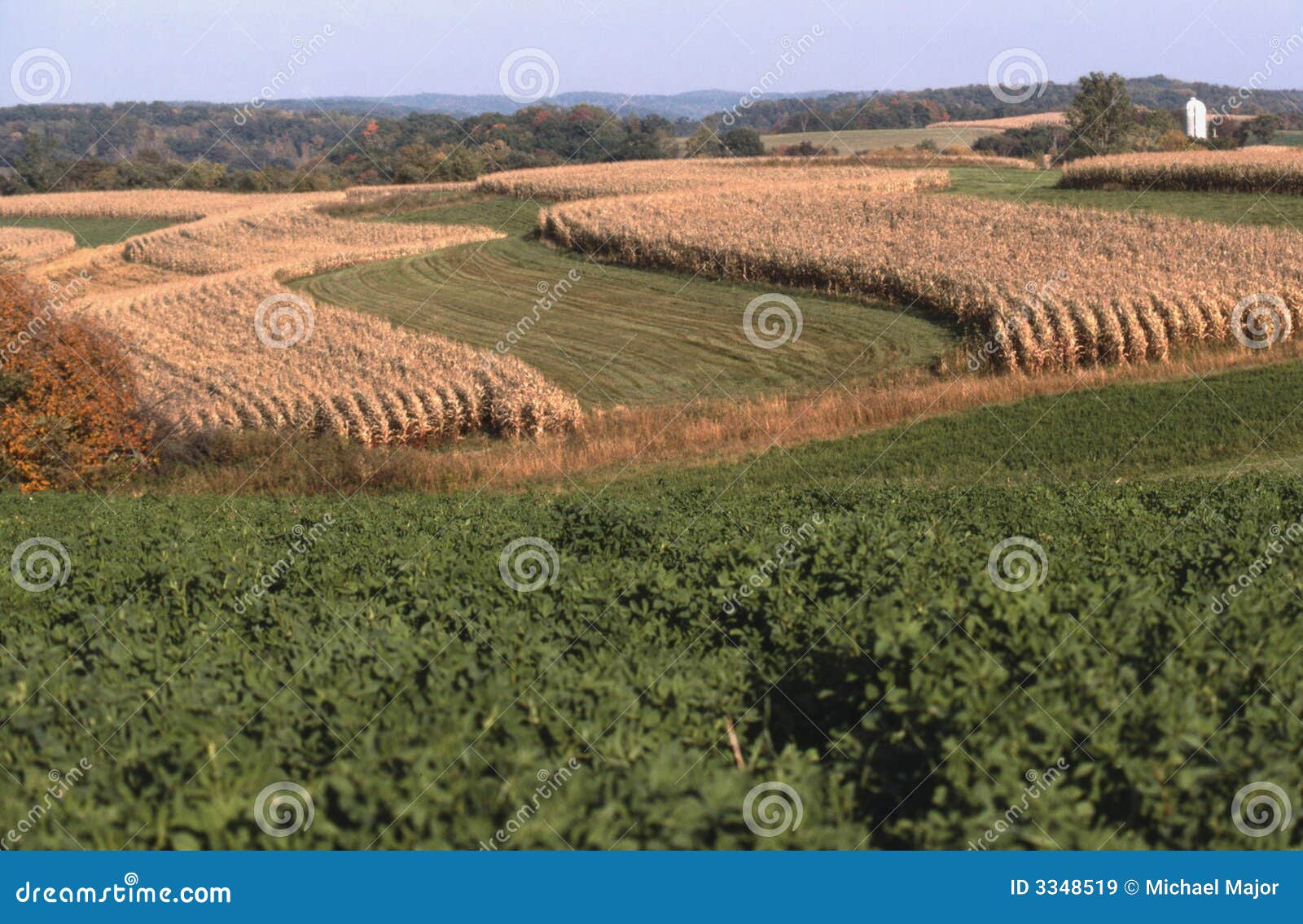 Corn and alfalfa Wisconsin stock image. Image of agricultural - 3348519