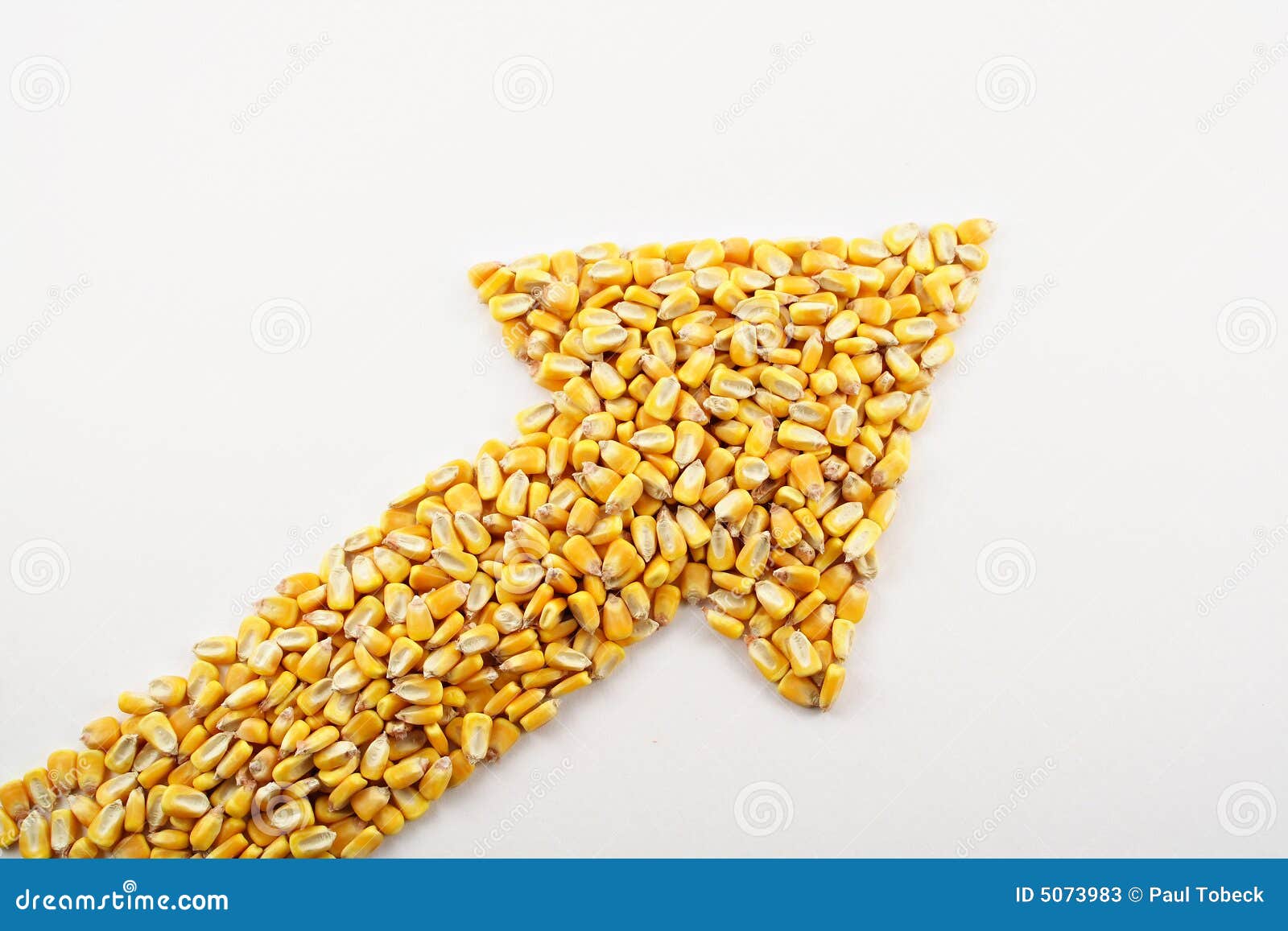 Corn Arrow stock image. Image of high, gold, climbing - 5073983