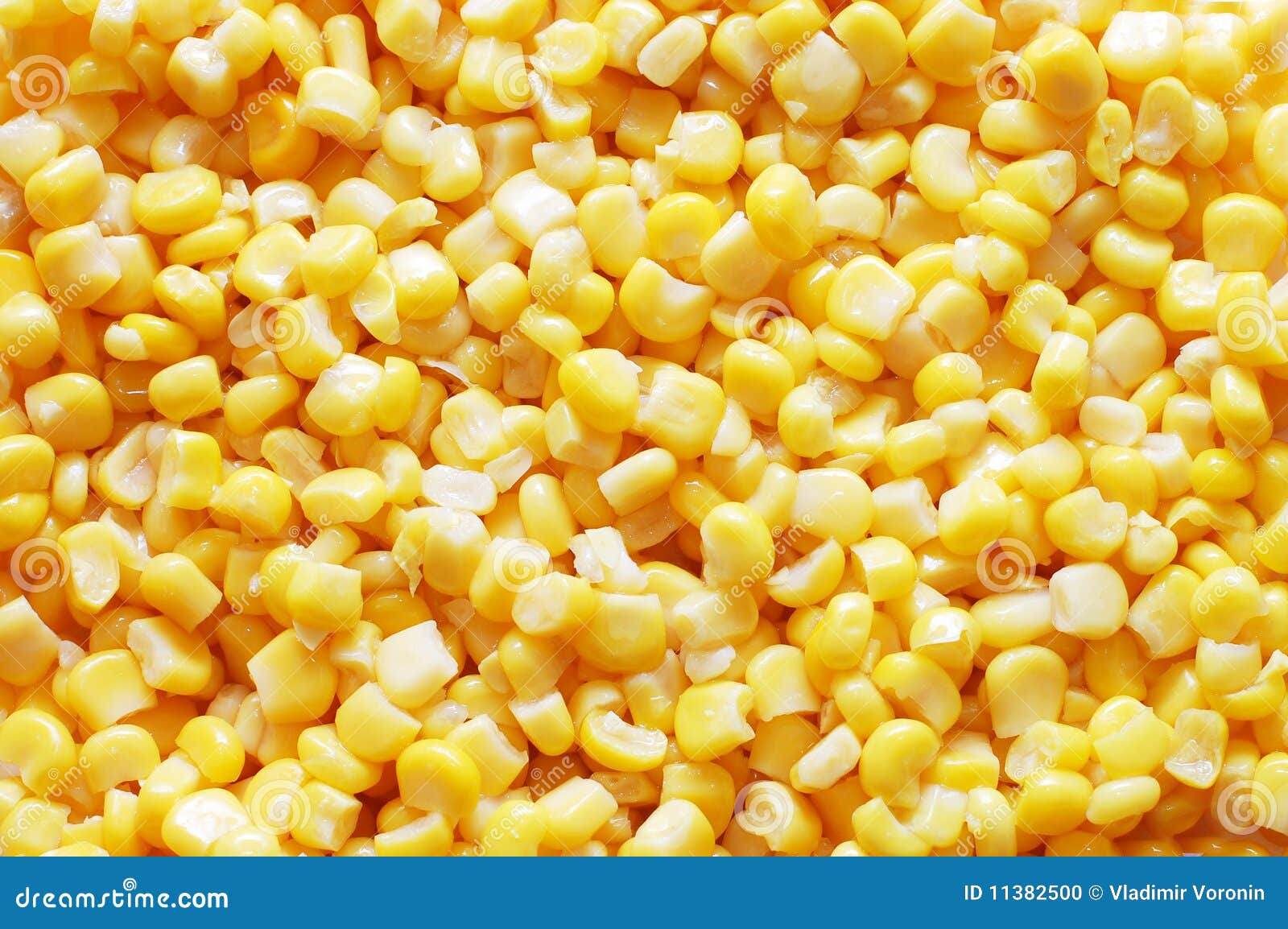 Corn background stock photo. Image of potted, crop, meal - 11382500