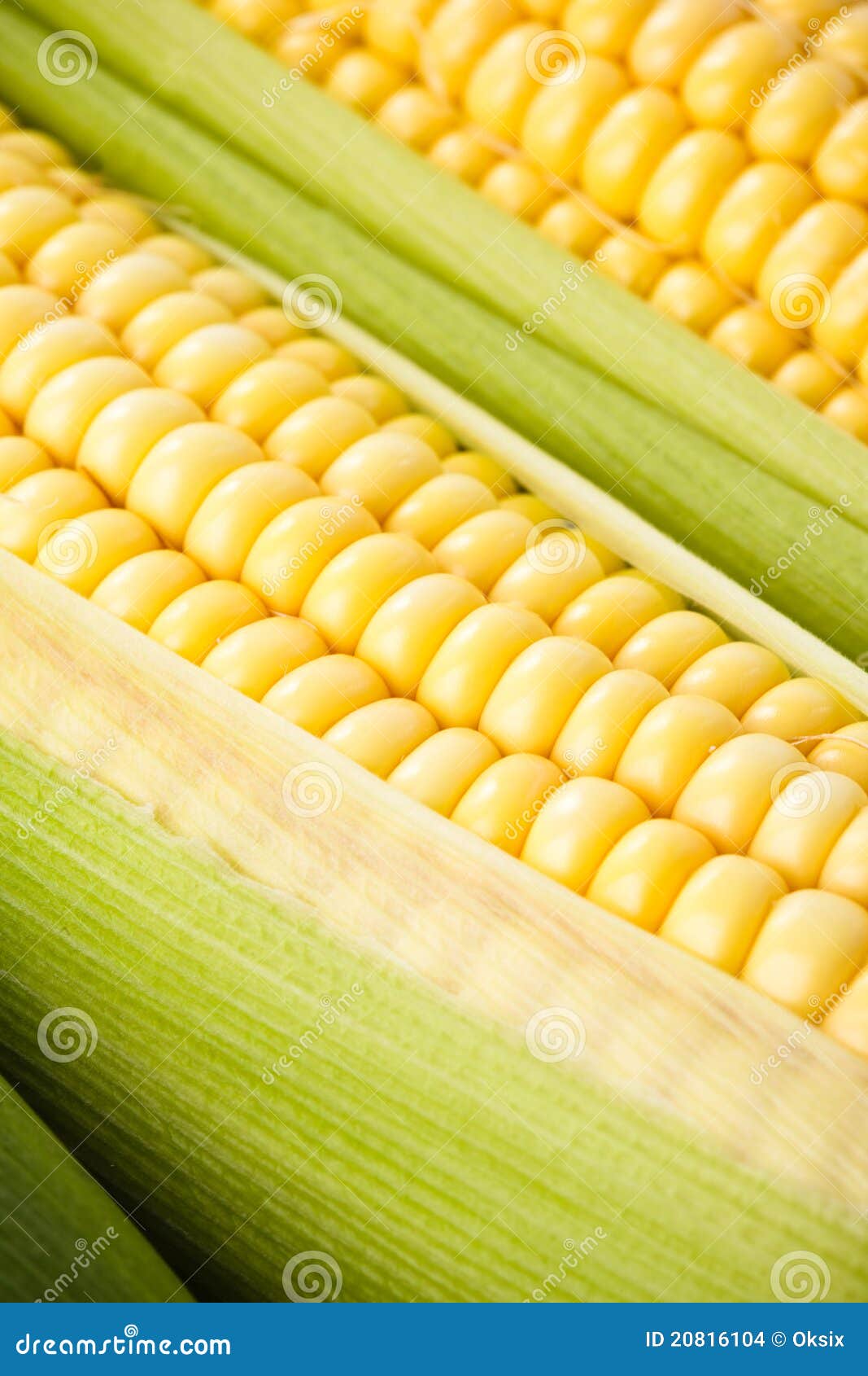 Corn background stock photo. Image of crop, closeup, macro - 20816104