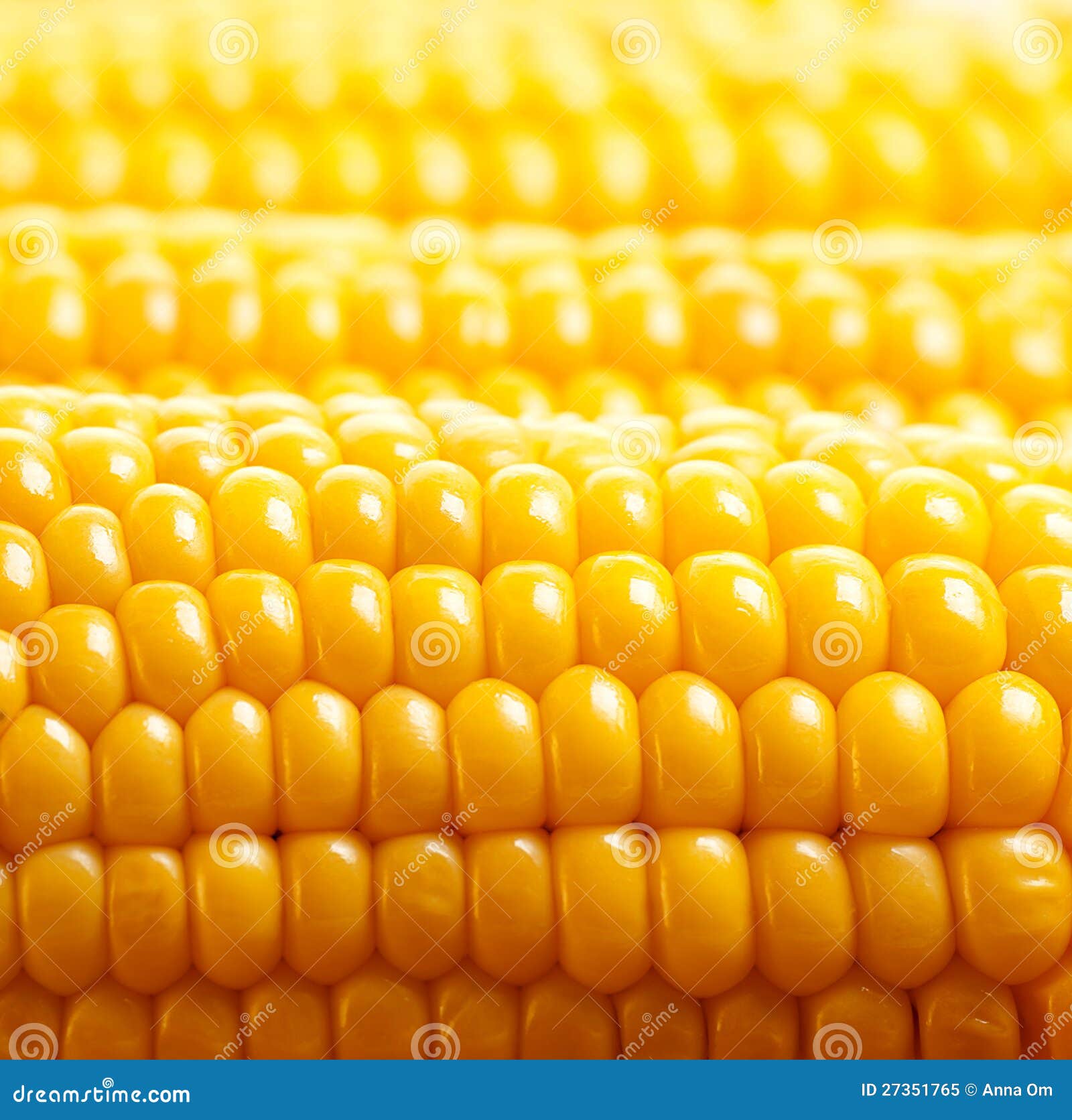 Corn background stock image. Image of macro, pattern - 27351765