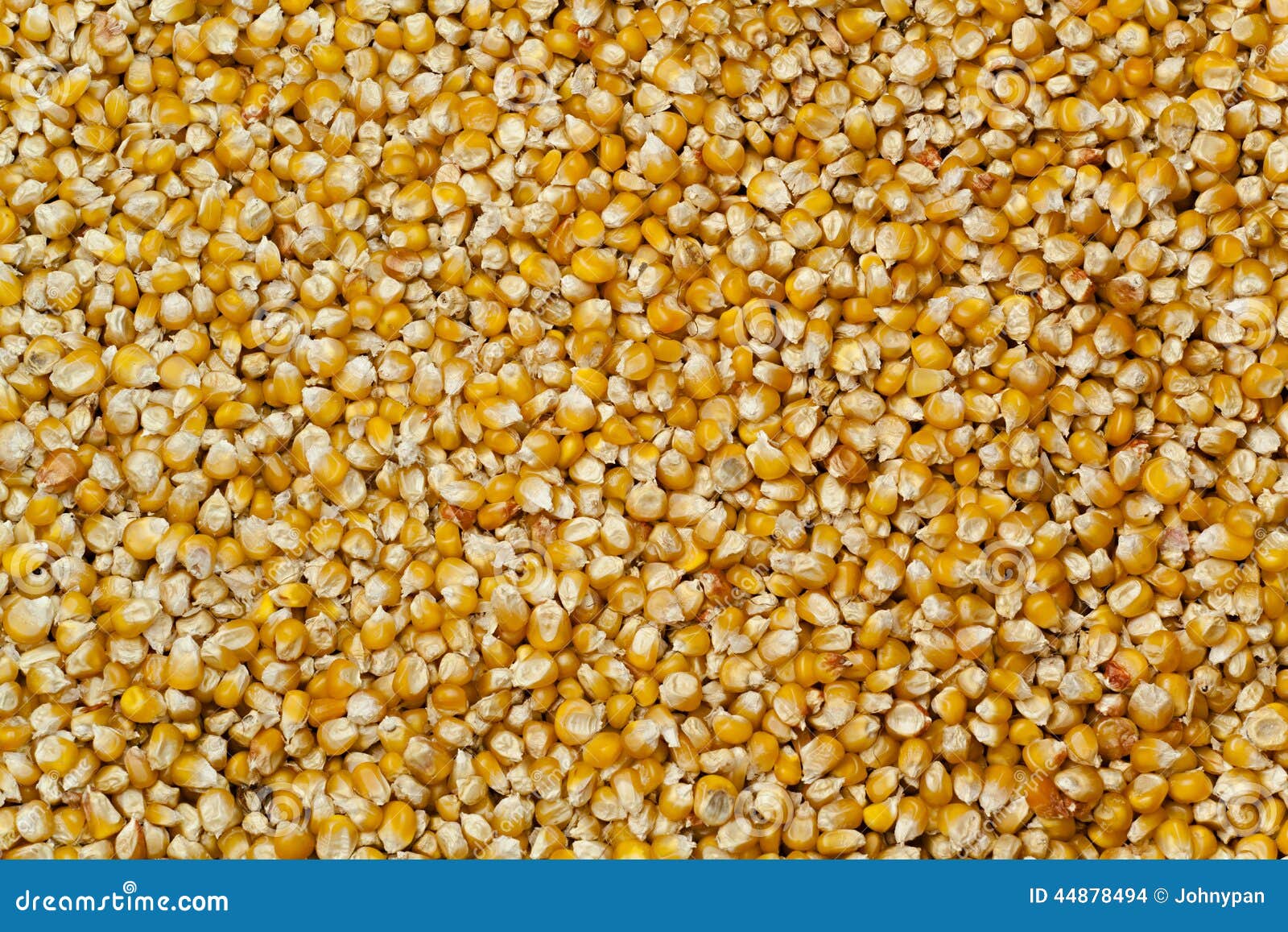 709 Corn Background High Resolution Stock Photos - Free & Royalty-Free ...