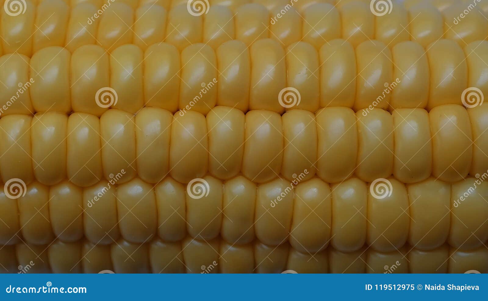 Sweet corn background. stock image. Image of leaf, seed - 119512975
