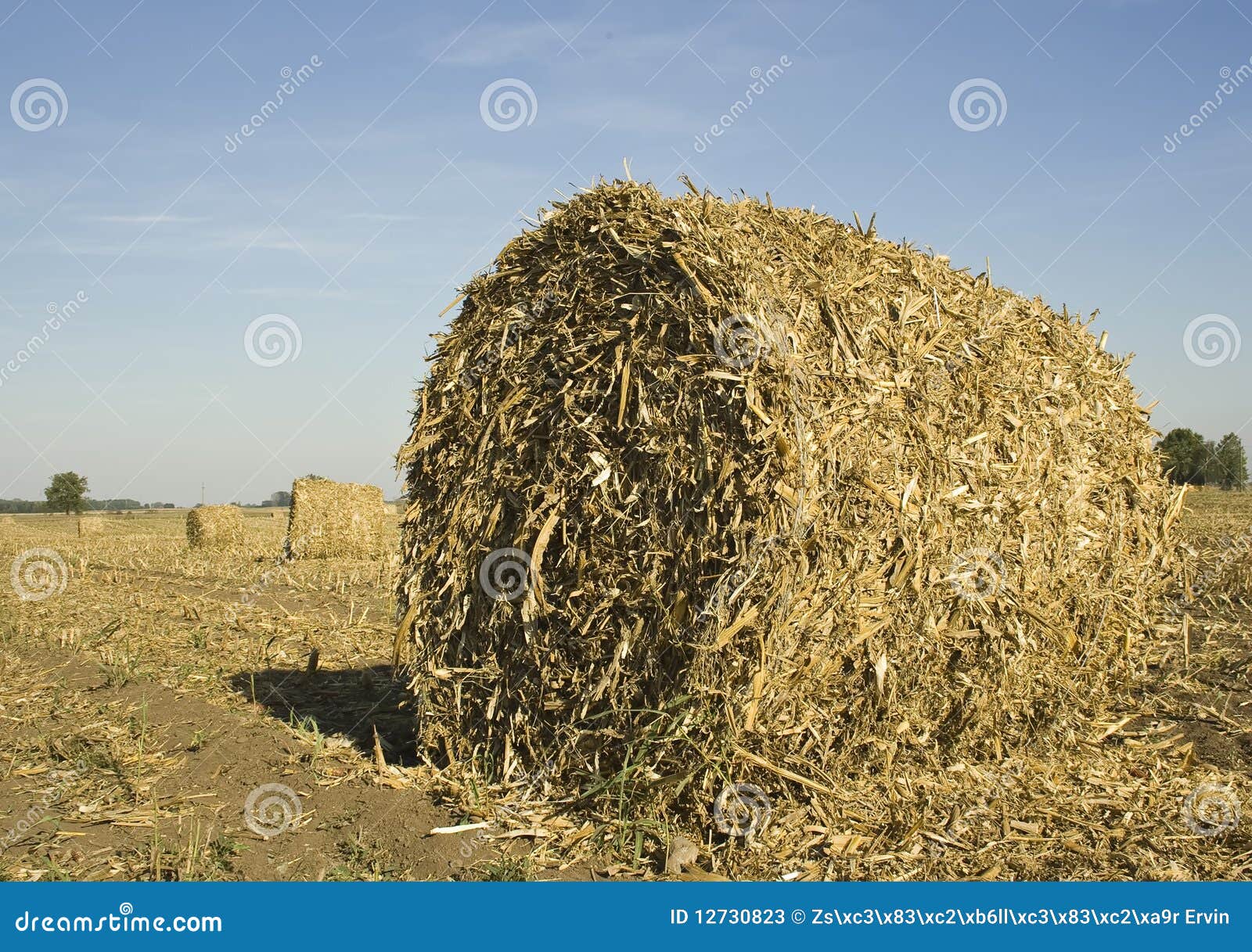 Corn bale close up stock image. Image of renewable, plant - 12730823