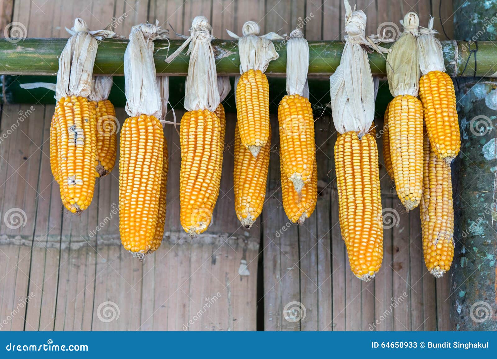 Corn Bamboo Rail Stock Photos - Free & Royalty-Free Stock Photos from ...