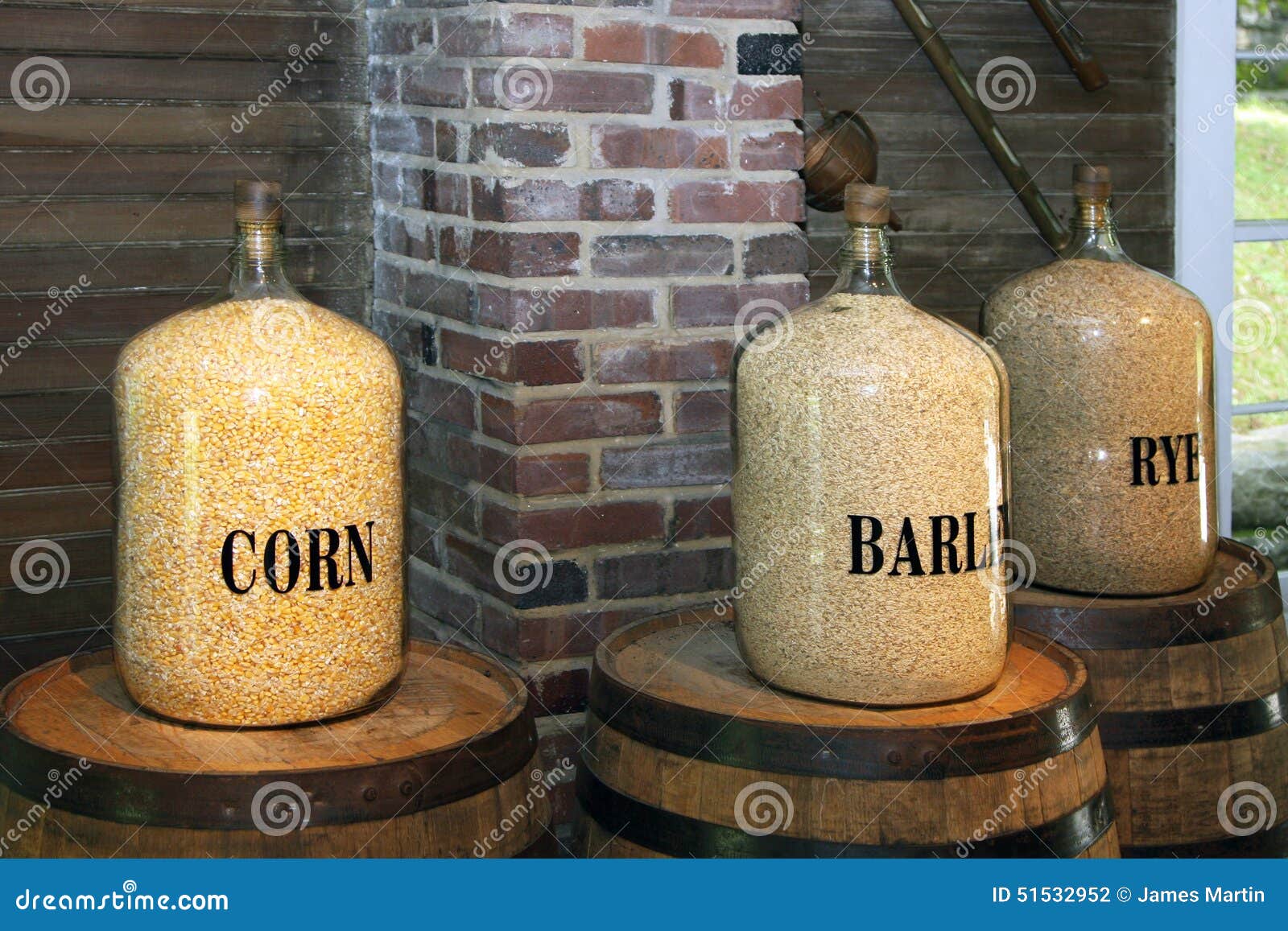 Corn, barley and rye stock photo. Image of bake, bourbon - 51532952
