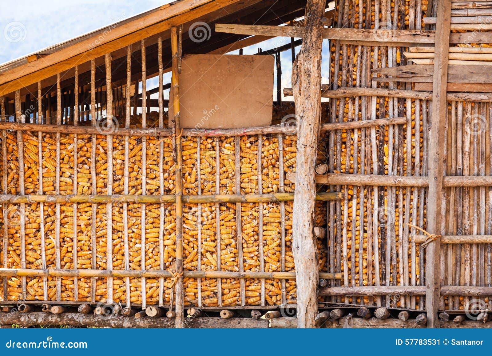 Corn Barn stock image. Image of field, harvest, rural - 57783531