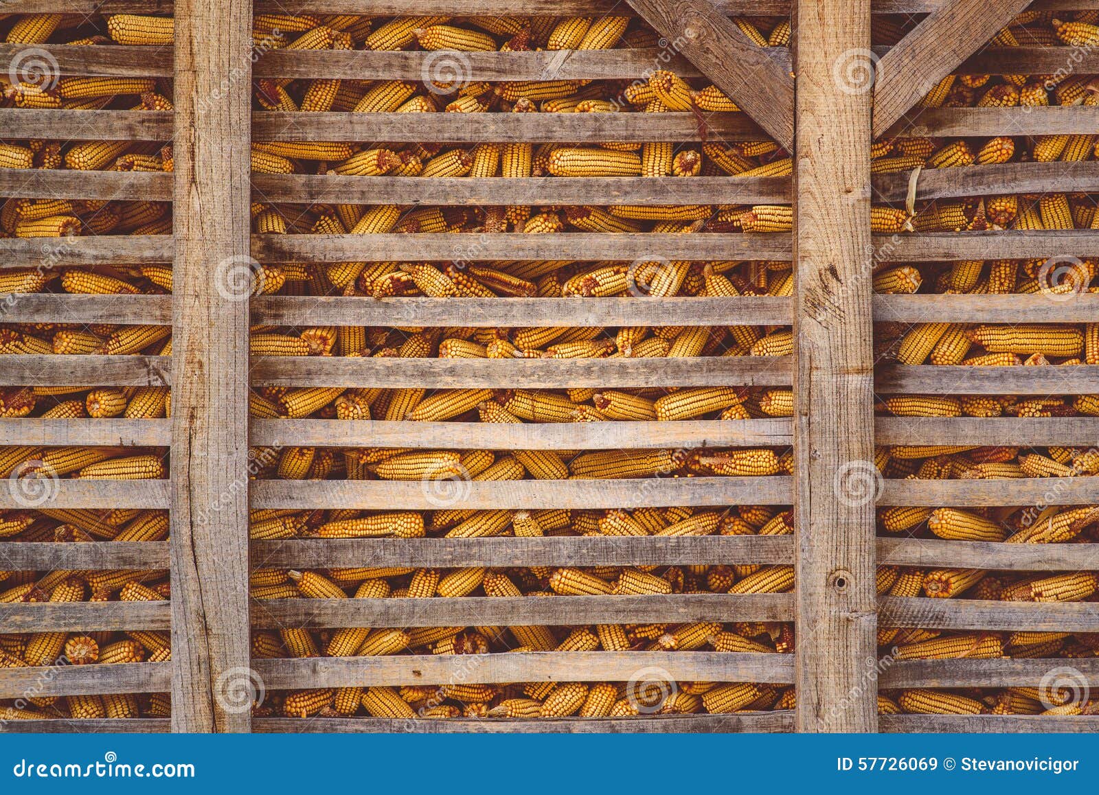 Corn barn on the farm stock image. Image of farming, farmstead - 57726069