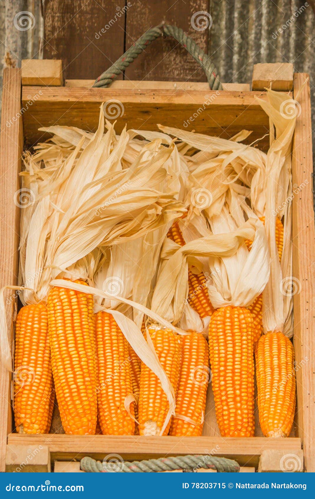 Corn Barn stock image. Image of season, farm, agriculture - 78203715