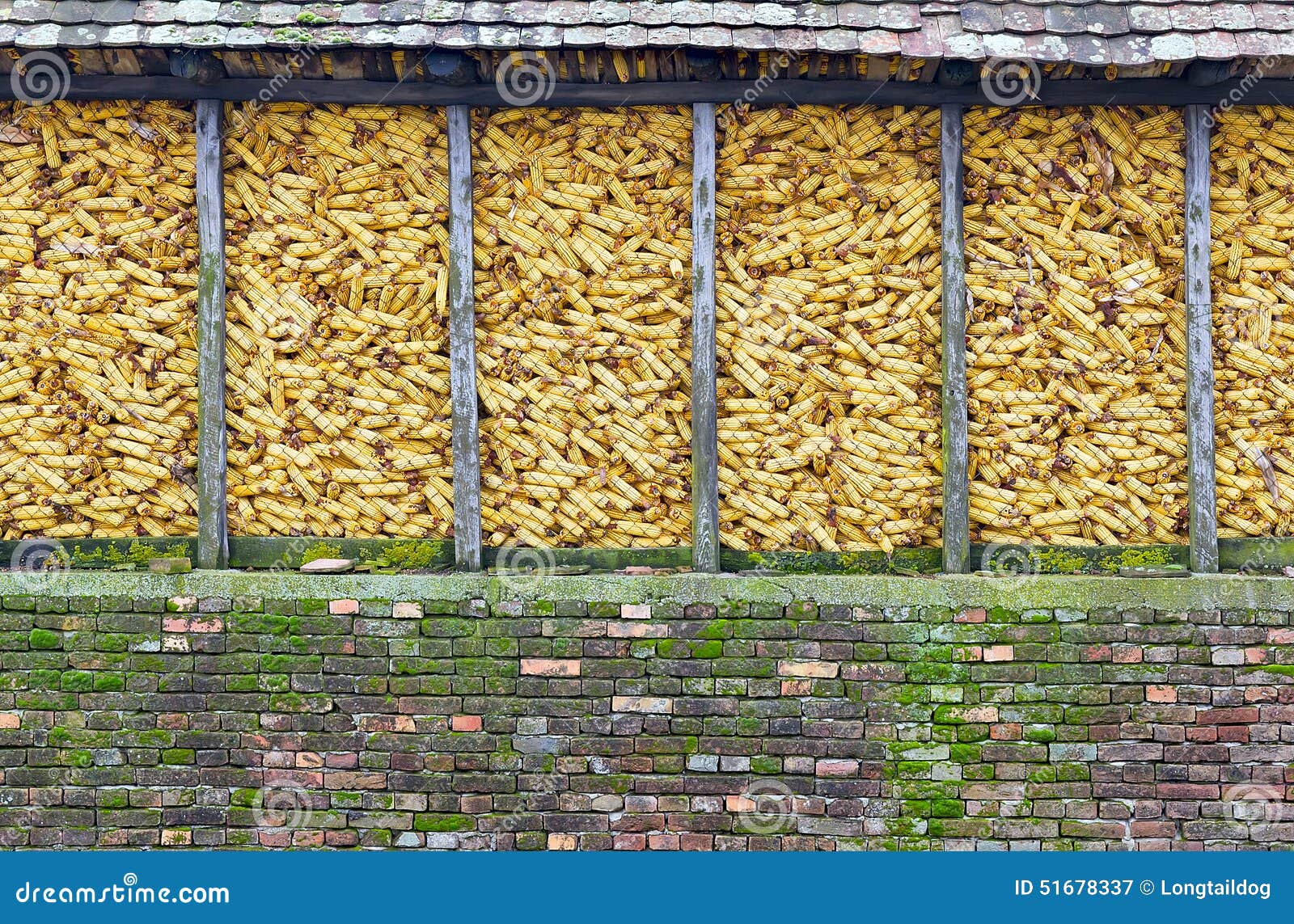 Corn barn stock image. Image of europe, grain, maize - 51678337