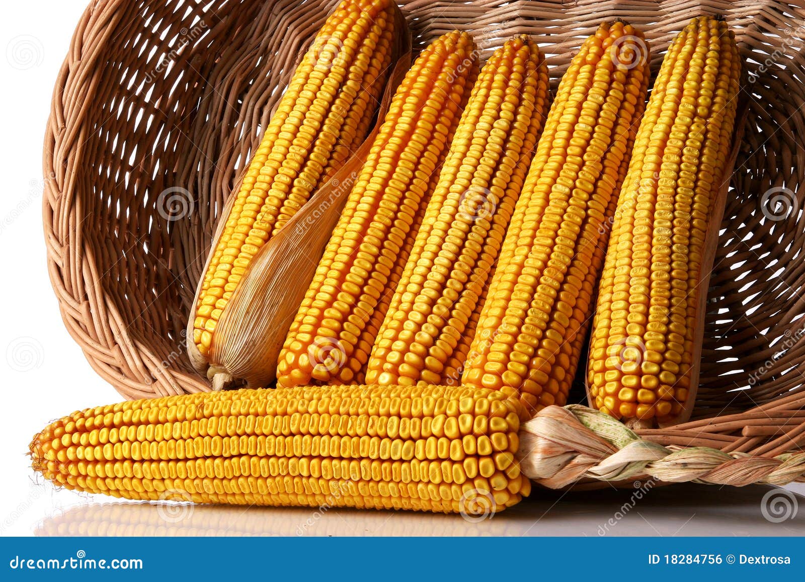Corn in the basket stock photo. Image of corn, fresh - 18284756