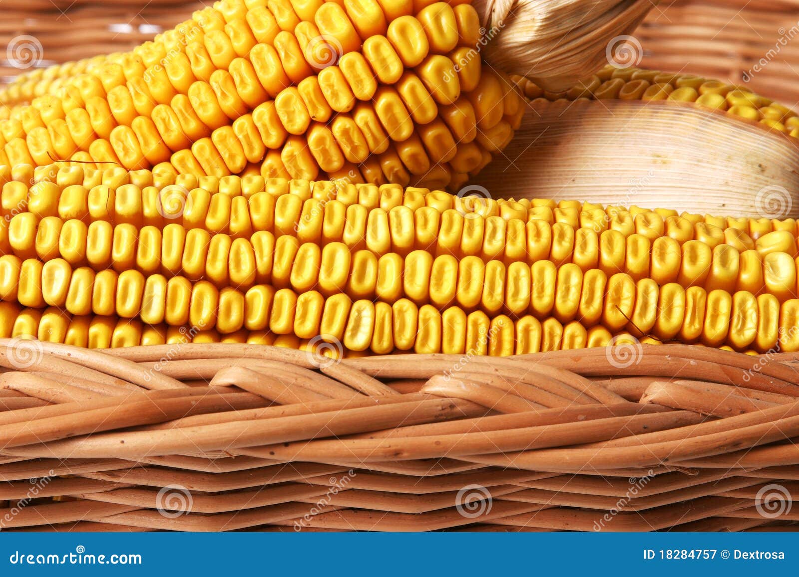 Corn in the basket stock image. Image of harvest, agriculture - 18284757